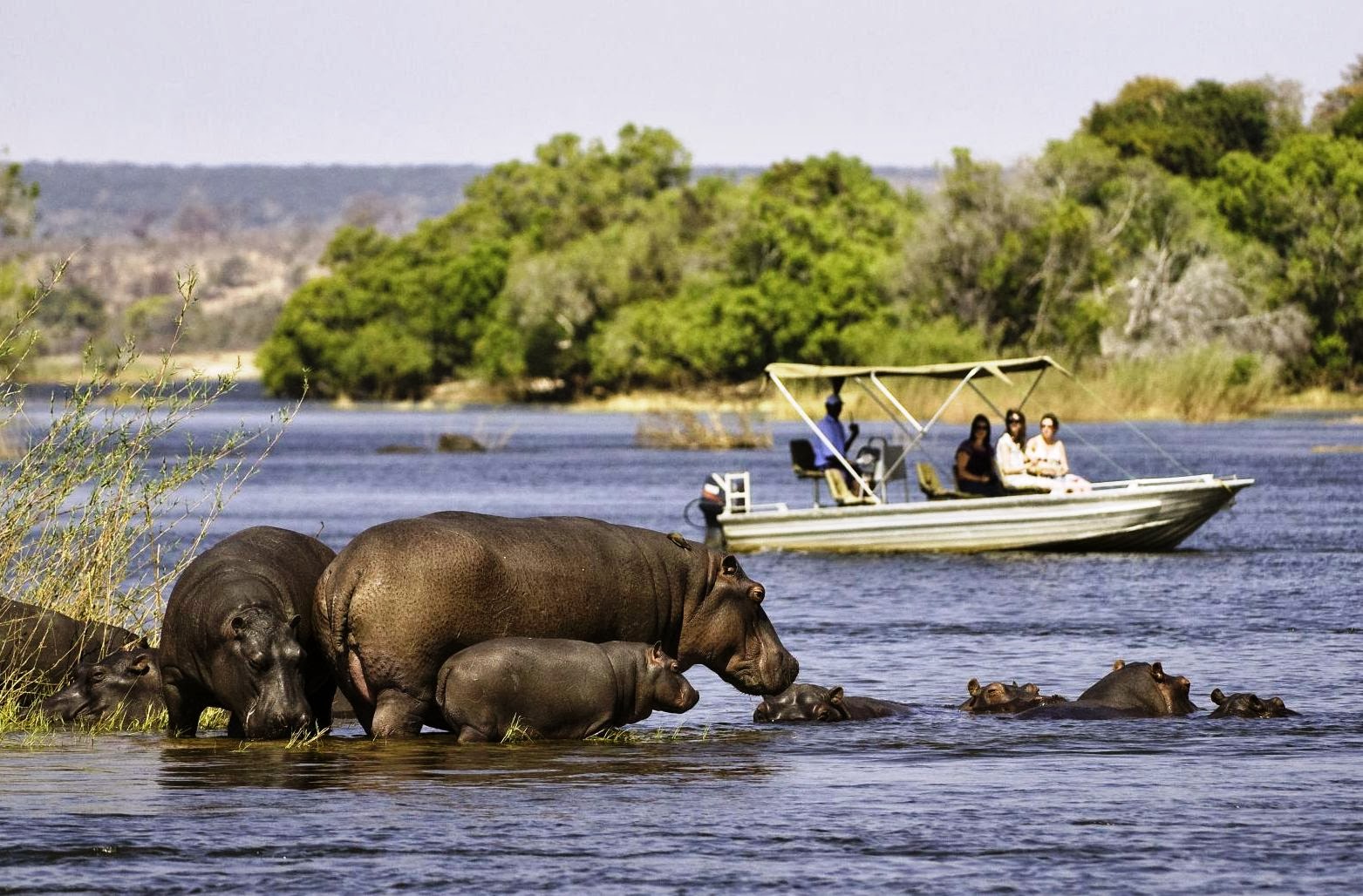 African Tour Packages - Online Travel Agencies