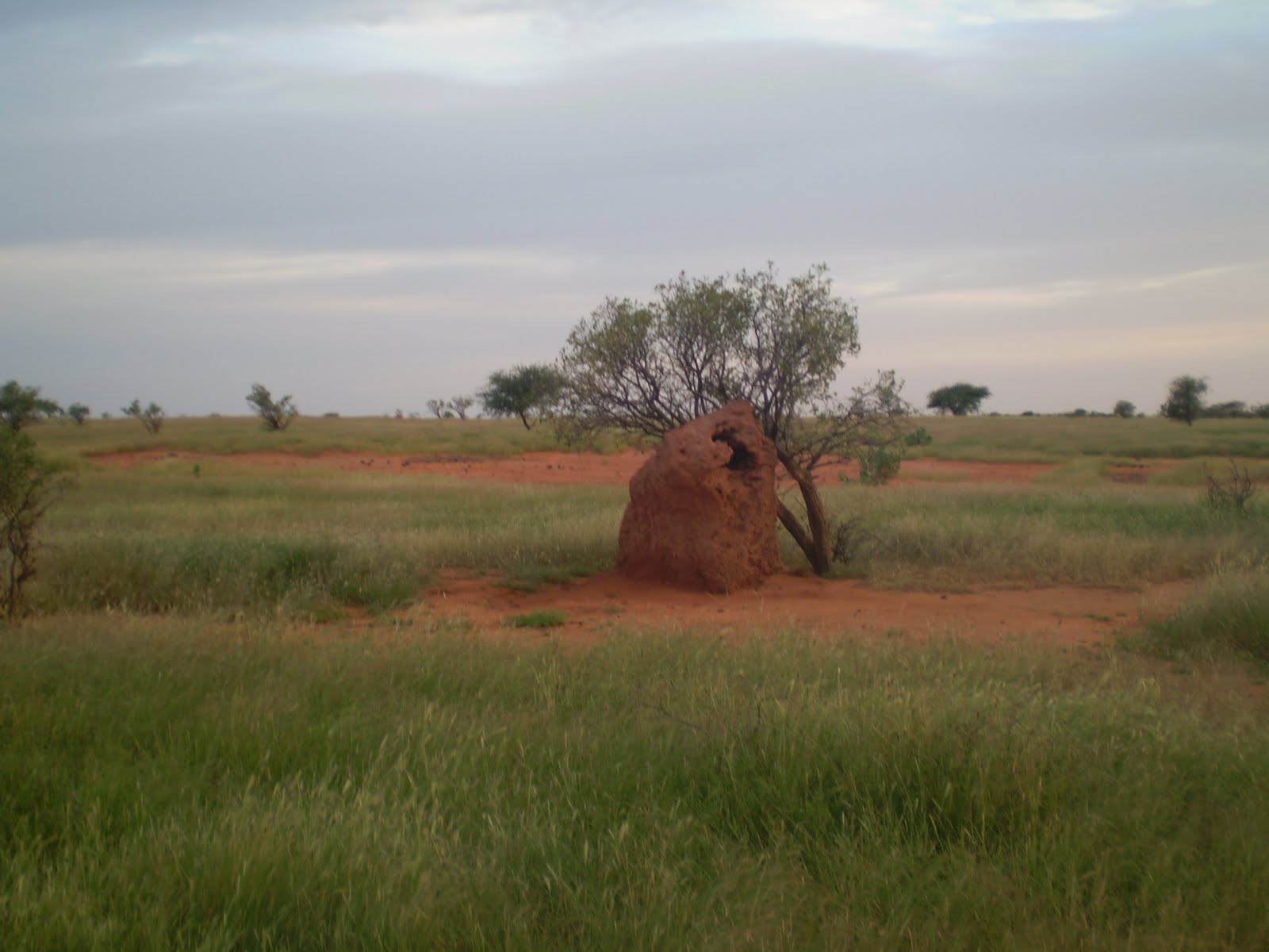 Monguel مونكل: مناظر طبيعية من مقاطعة مونكل