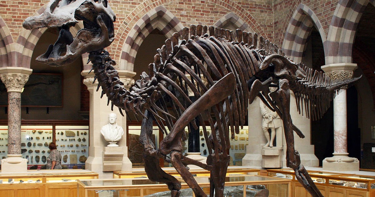 Creation - The Written Truth: #HADROSAUR MUMMIFIED #HADROSAUR SOFT ...