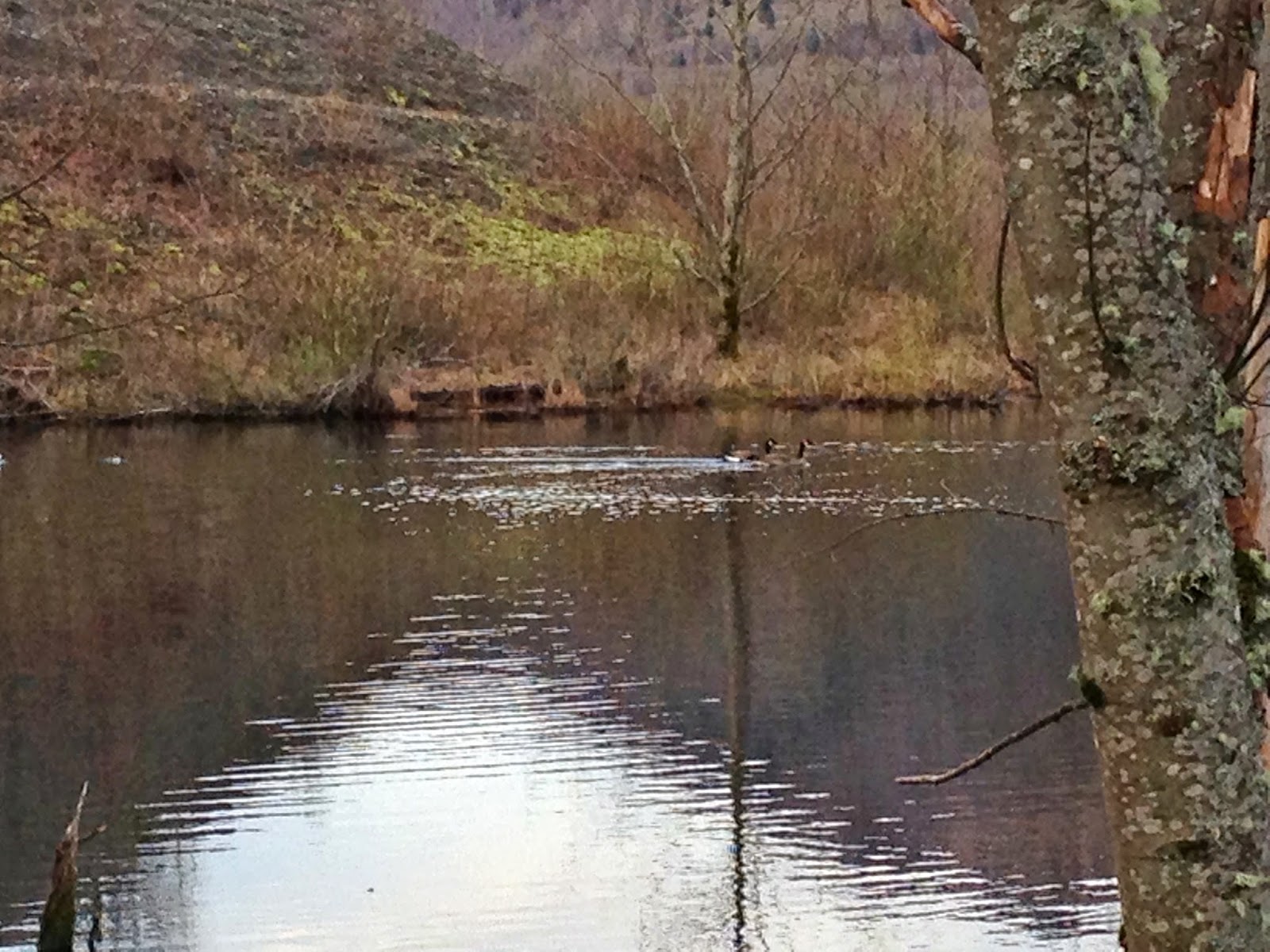Three Hiking Sisters: Hummocks Trail & Boundary Trail #1 to Johnston ...