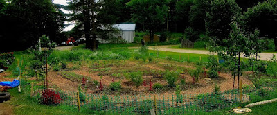 Permaculture en climat froid: Formation-Implantation d'une Forêt ...