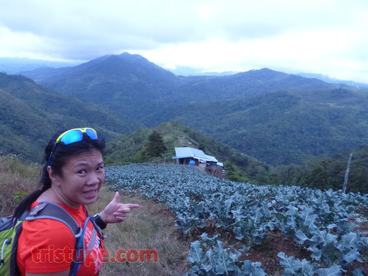 Sabah Adventure Challenge Race Report : Longest Day 1 ~ TRISTUPE.COM