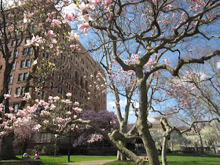Garden Discoveries: Pittsburgh Spring