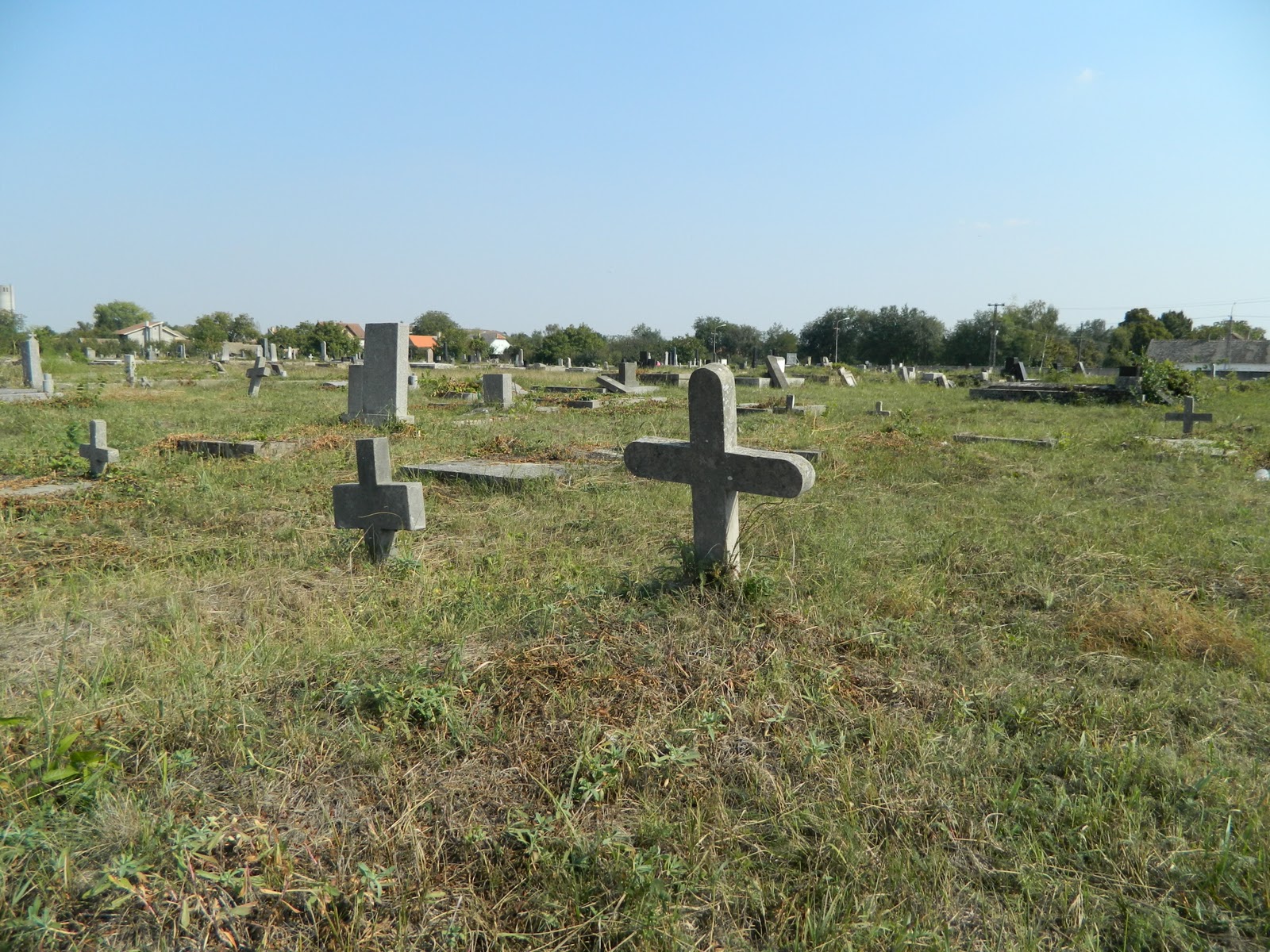 Journey to the Batschka: The Historian