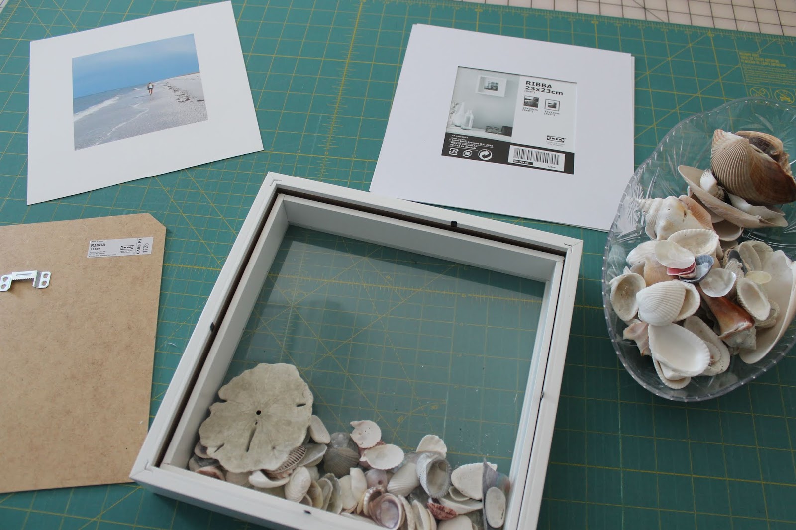 SunShine Sews...: Sea Shells and a Shadow Box