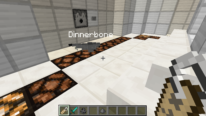 NextCraft: Minecraft, Quick Easter Egg! (Dinnerbone Trick)