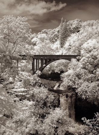 My Aesthetica: Honolii