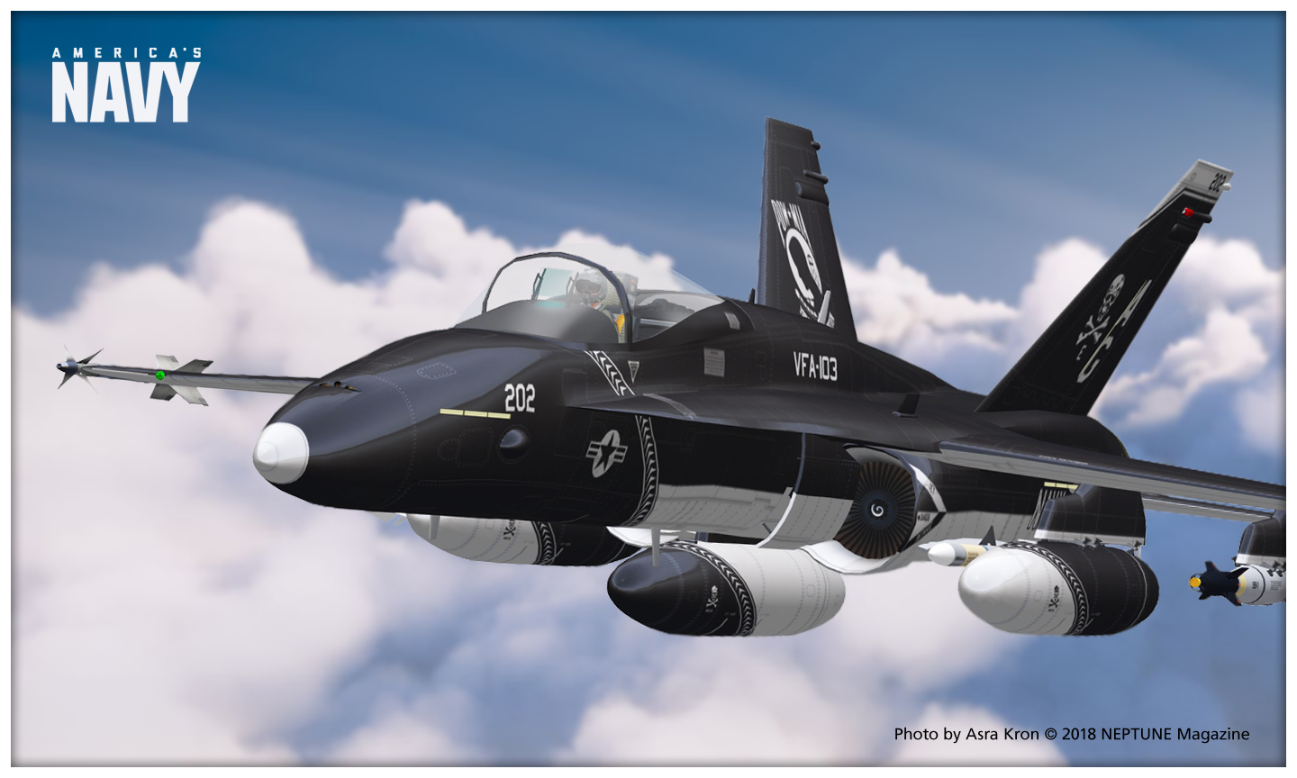 Eight Shades of Blue: US Navy VFA-103 "Jolly Rogers" POW MIA F/A-18C Hornet