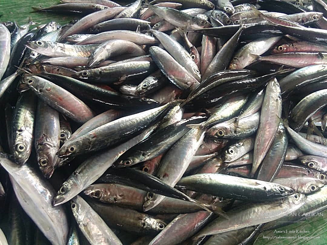 Memburu Ikan Laut di Darat - Amie's Little Kitchen