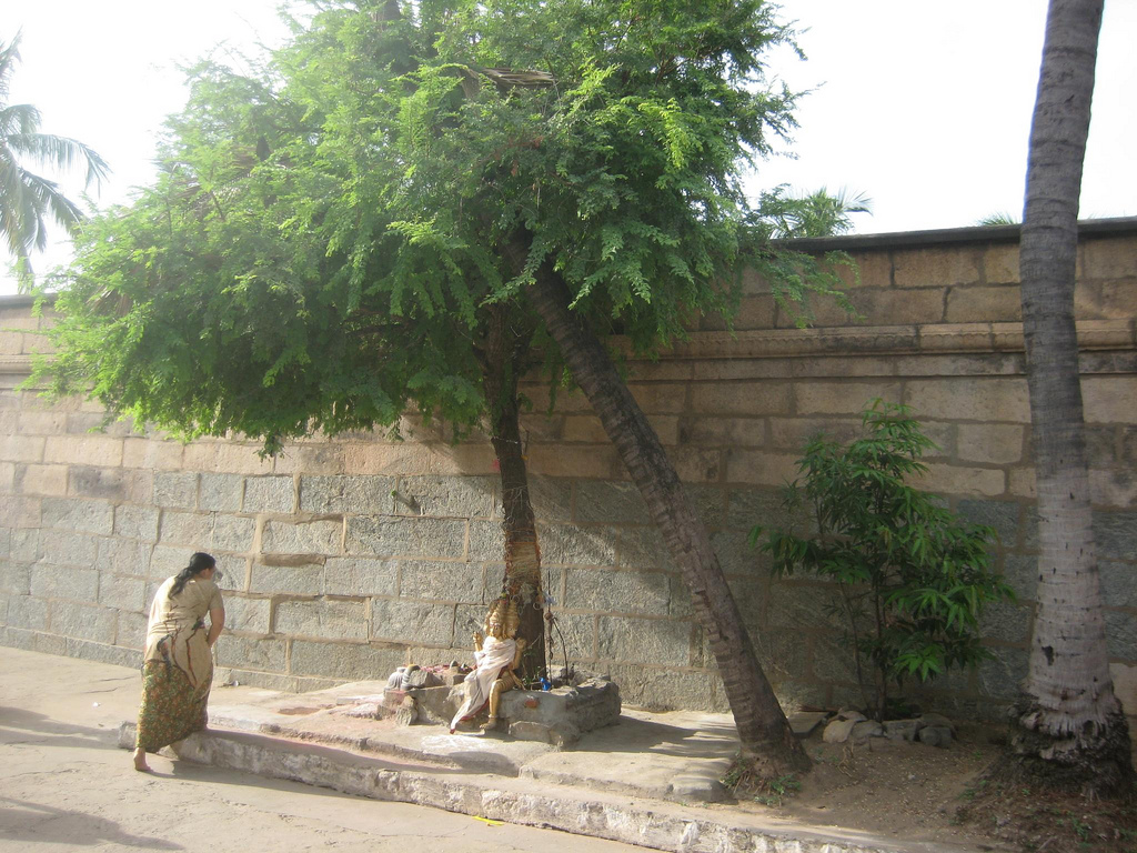 Tamilnadu Tourism: Kailasanathar Temple, Tharamangalam – Temple ...