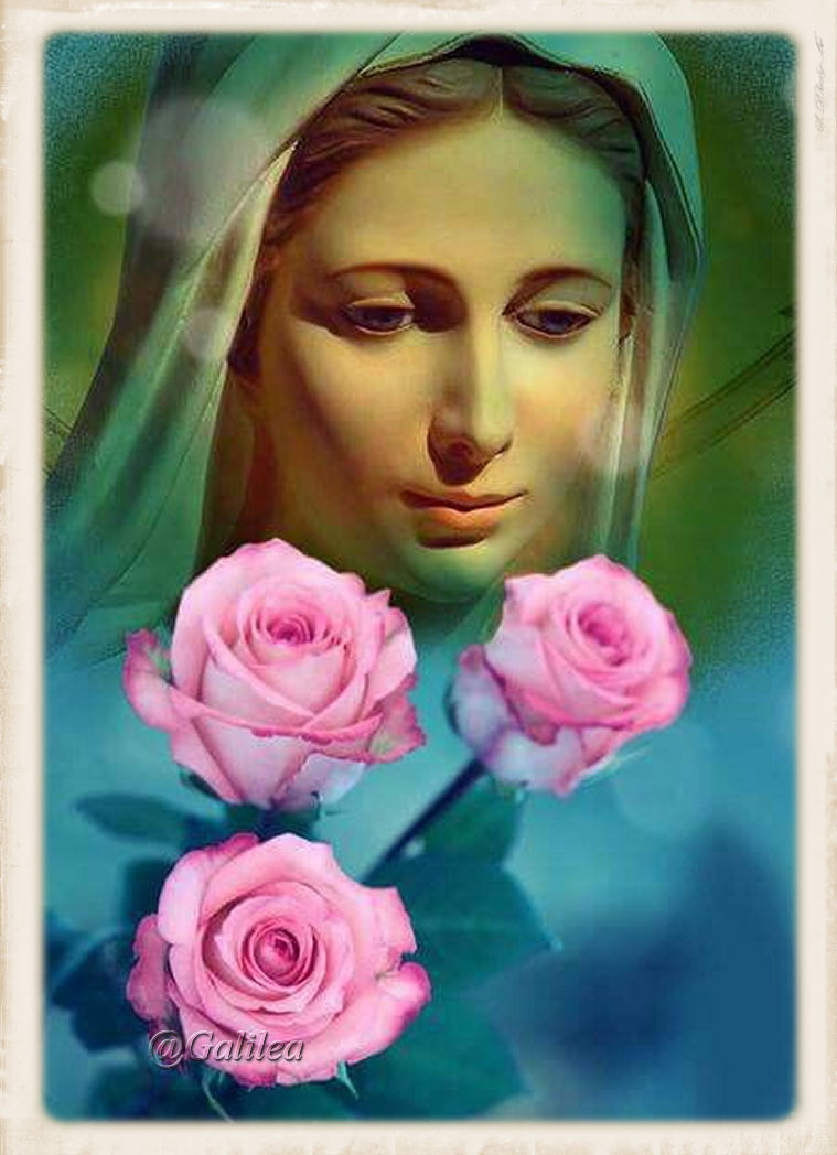 Santa María, Madre de Dios y Madre nuestra: De María