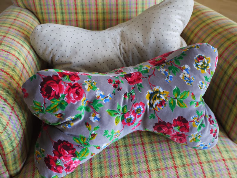 Petronella: Knochen zum Lesen