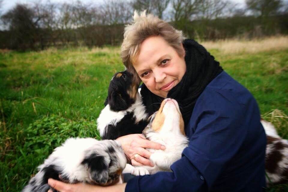 Hunde/Welpen-Coach Brigitte Hirsch. Hundeerziehung leicht gemacht: März ...