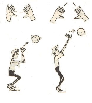 Fundamentos del Voleibol: Voleo