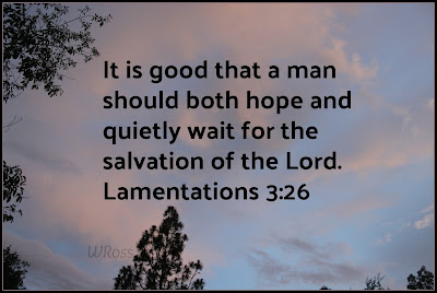 Life at Rossmont: Scripture and a Snapshot, July 2