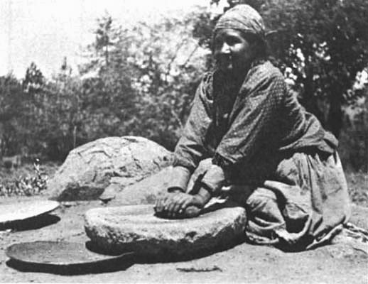 In the Company of Plants and Rocks: Acorn atole -- not a convenience food