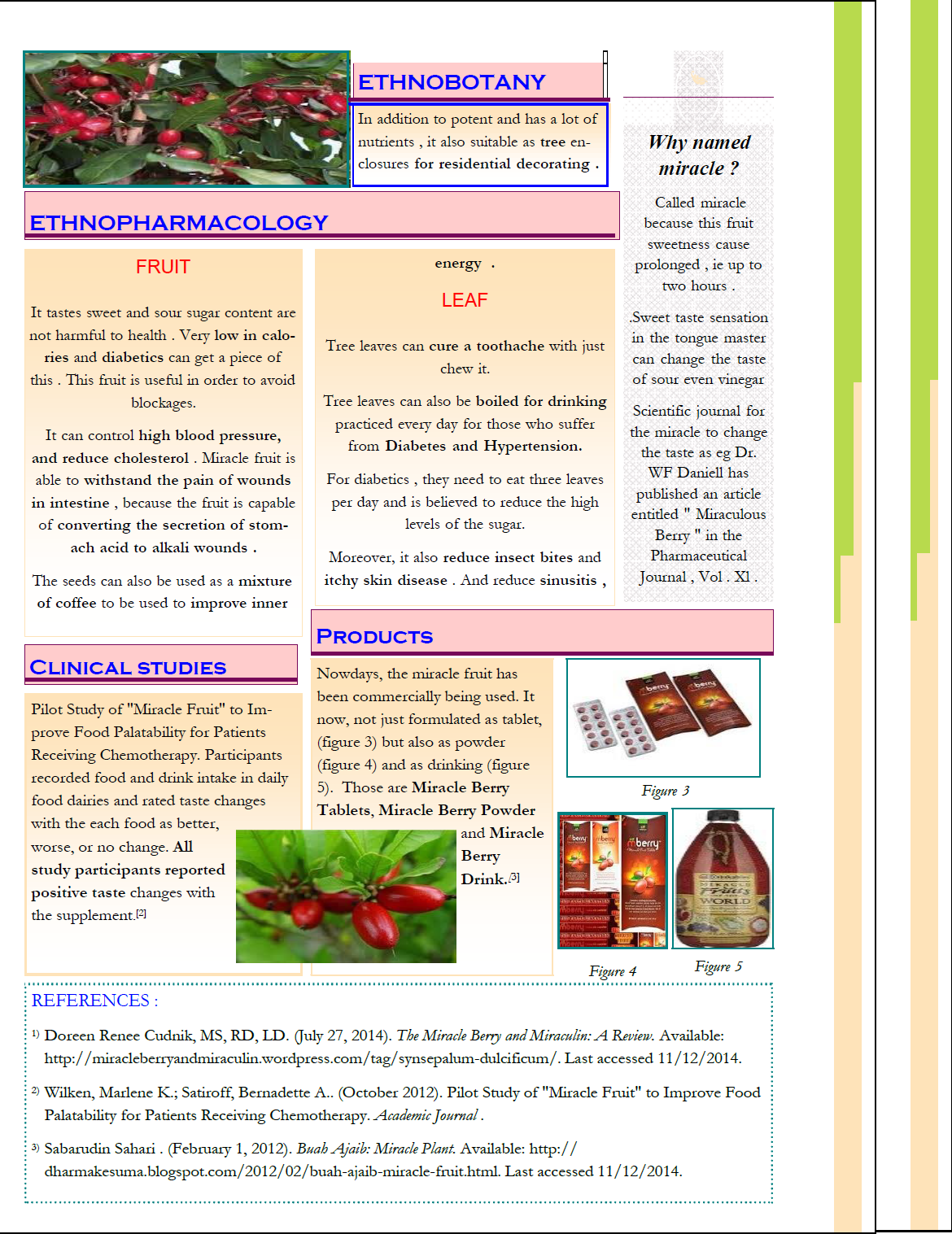 Malay Traditional Medicine: Pokok Ajaib