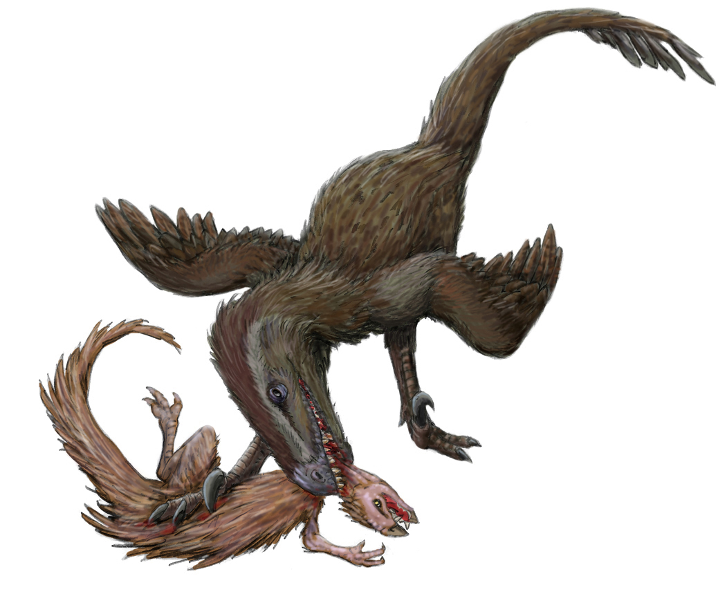 Dinosaurs : The Dinosaur Tales of December. The Naughty of the Dromaeosaurs
