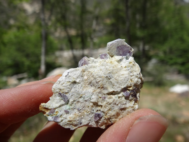 Natural History Museum of L.A. Minblog: Ruby hunting for the Kid's ...