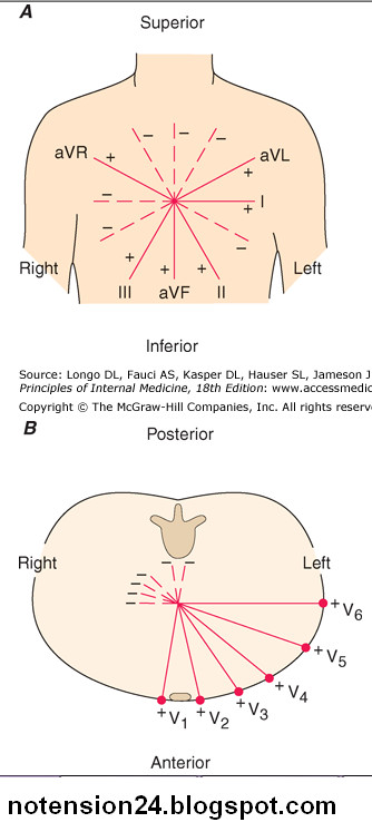 Understanding Electrocardiography lesson -2 | Amp Breaking News
