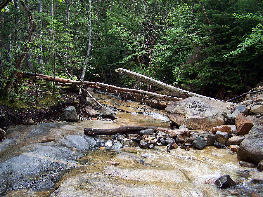 Hiking in the White Mountains: Willey Range with Lee and Dion