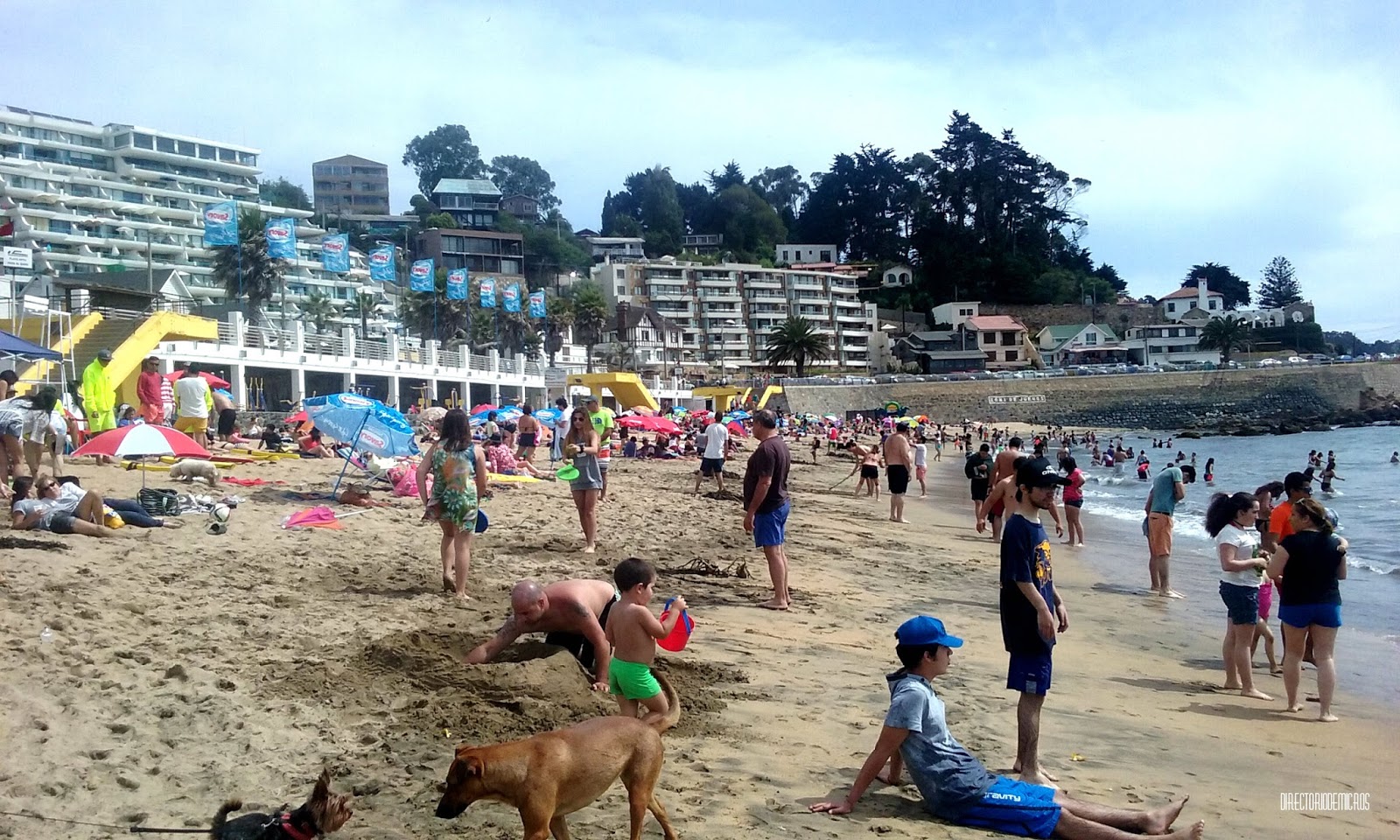 Un clásico: Playa Amarilla de Concón