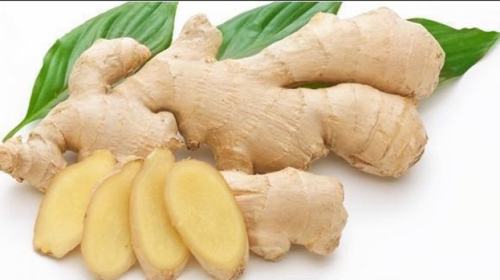 Simplisia Rhizoma | Farmakognosi Tanaman Obat Tradisional