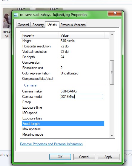 Yuk jadi Ahli Telematika! Cara Mengecek Gambar dan Foto, Asli atau Editan