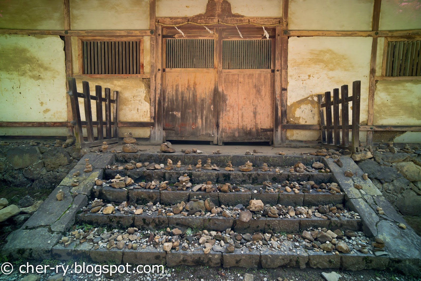 Life of a Lil Notti Monkey: Nara, Nara