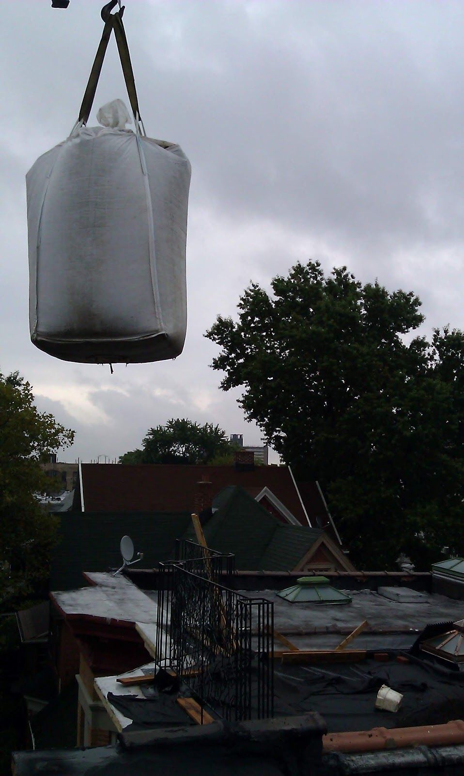 Lory Henning's Project Happy Life: Green Roof Project