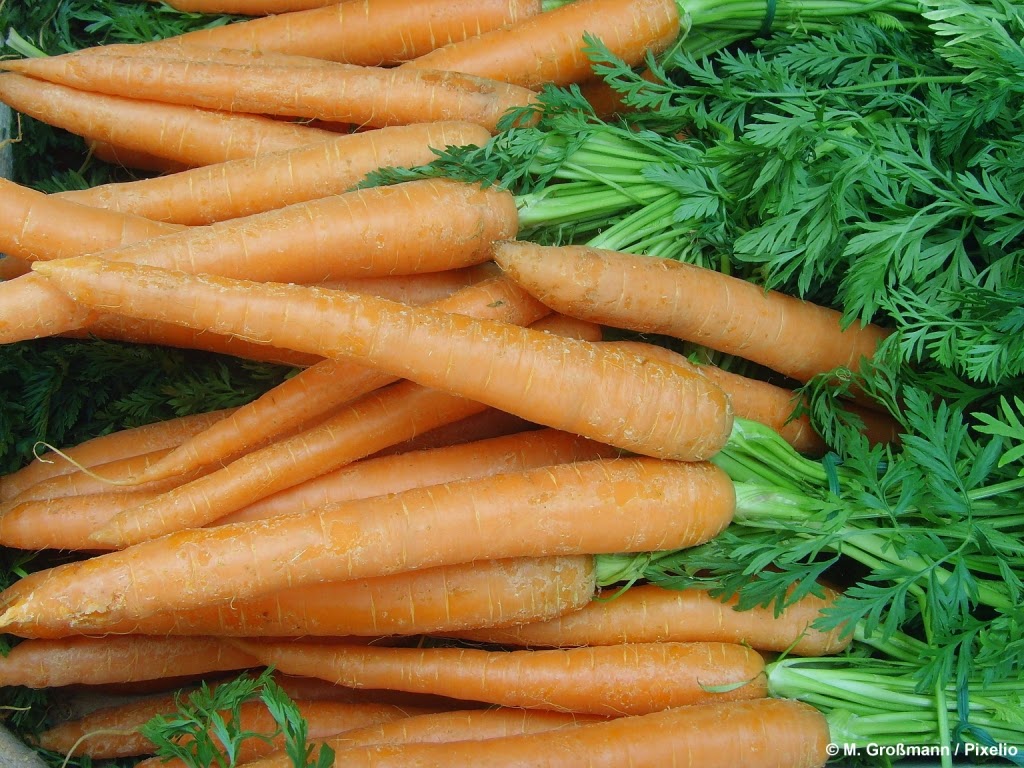 Natürlich Gesund: Karotte - oft unterschätzt