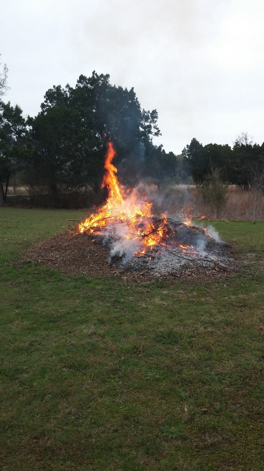 Bonnie Bee and Yond: Spring fire