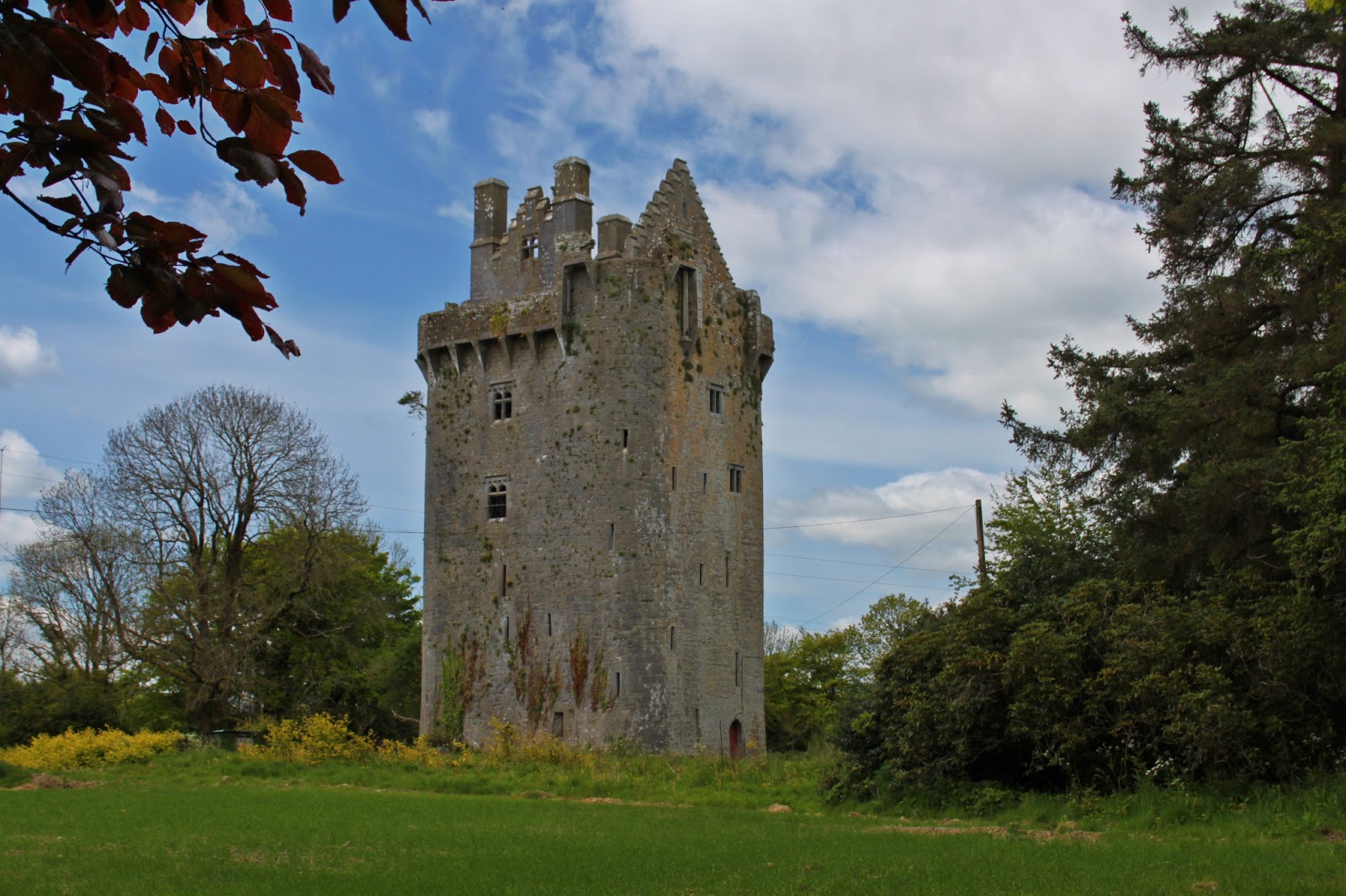 Historic Sites of Ireland: Lohort Castle
