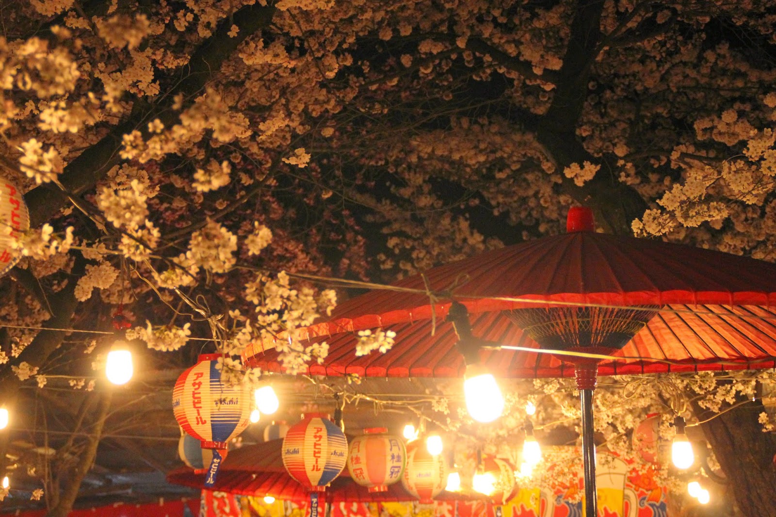 Kath on Tour: Hanami