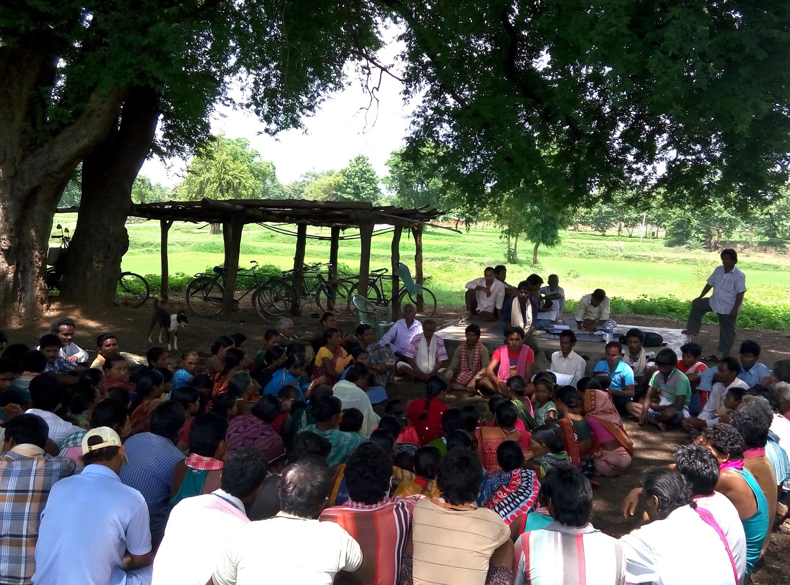 Odisha tribal villages reject compensatory afforestation committees ...
