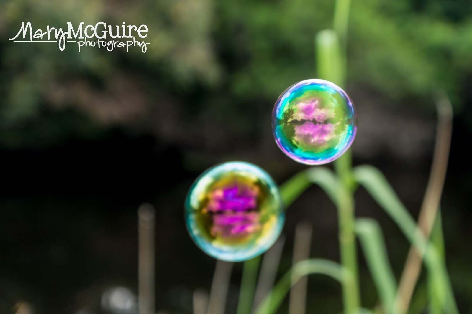 Mary McGuire Photography: Happy Friday - Photographing Bubbles