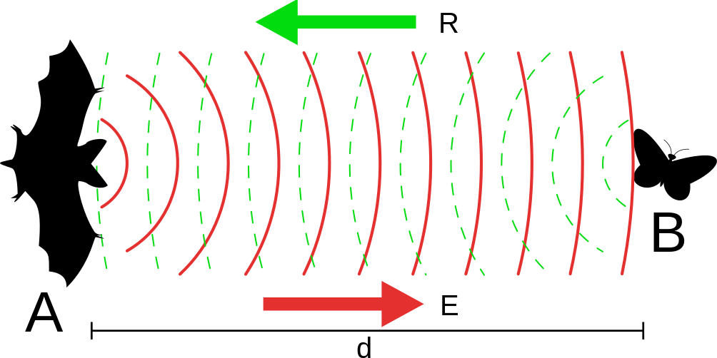 EduPython: Midiendo distancias: el sensor ultrasónico