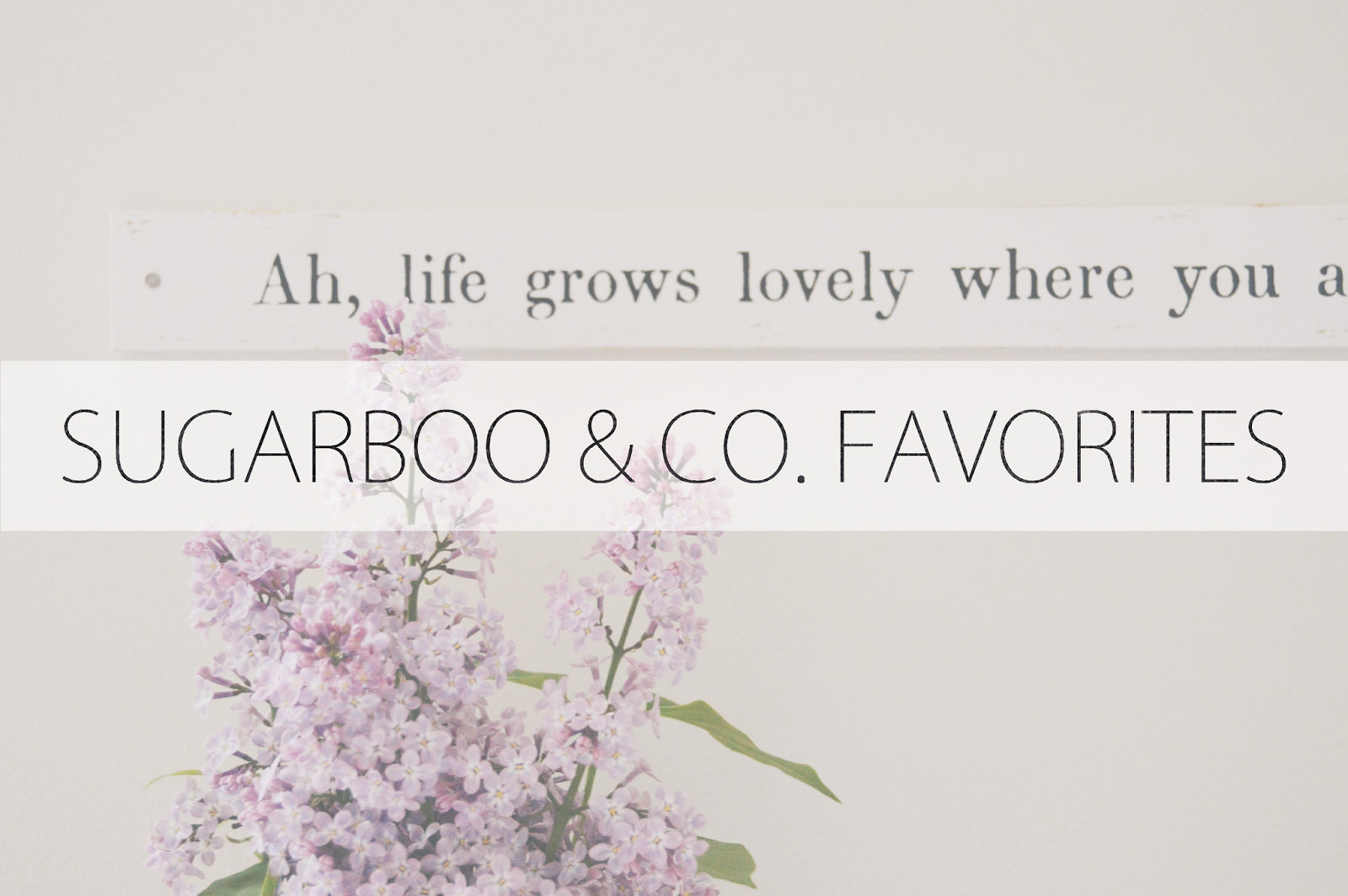 The Joyful Tribe: Sugarboo & Co. Favorites