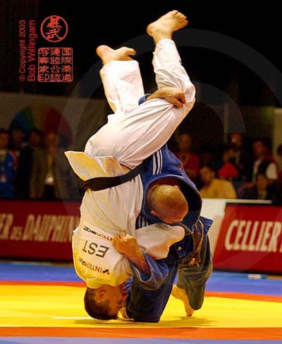 Artes Marciales: Judo