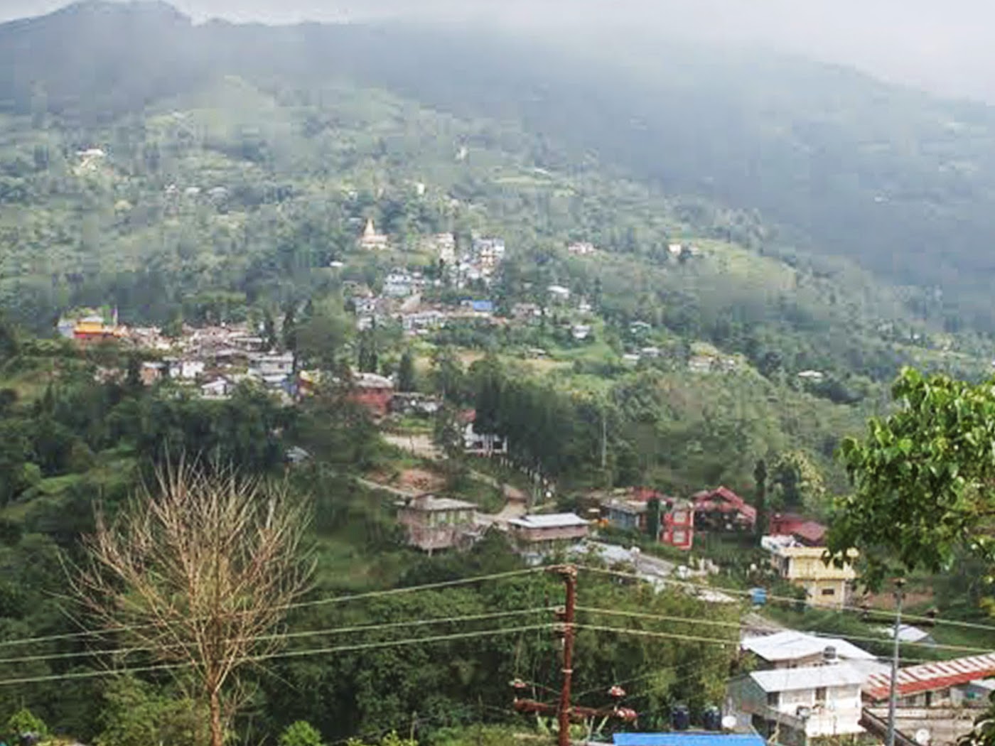 Fikkal Bazzar Ilam - Ilam is the real paradise of eastern Nepal.