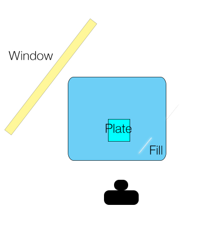 Angela Aurelio Photography