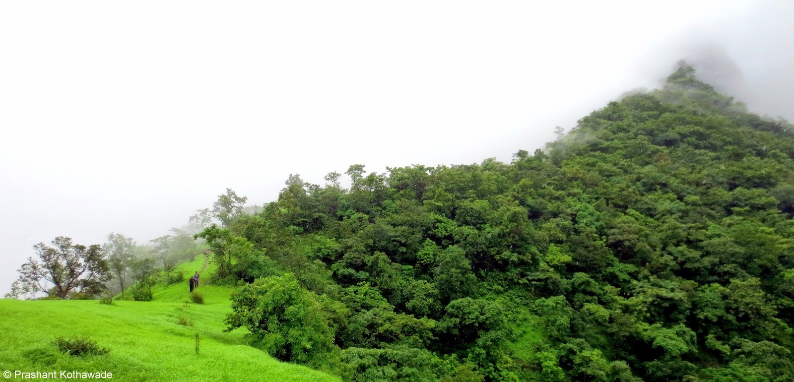 Prashant Kothawade's blogs: Mangalgad/Kangorigad - A hike amidst mist ...