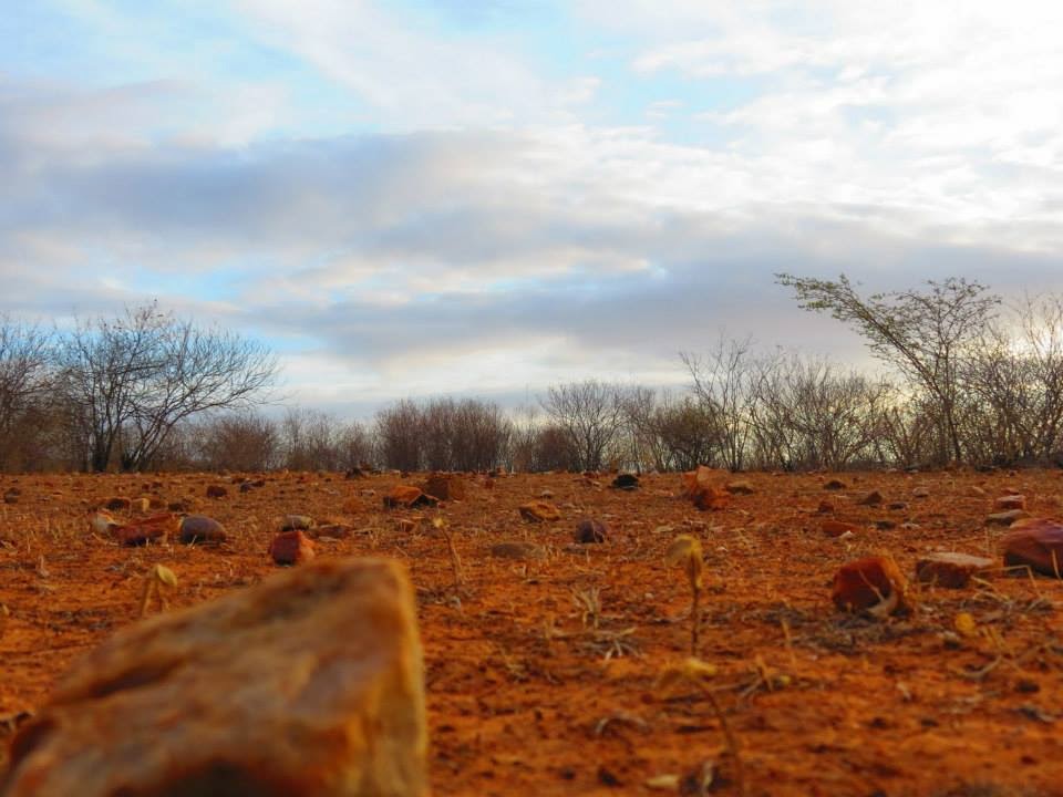 Felipe Belo Fotografia: Historia do Brejo, Belezas Naturais, Lugares ...