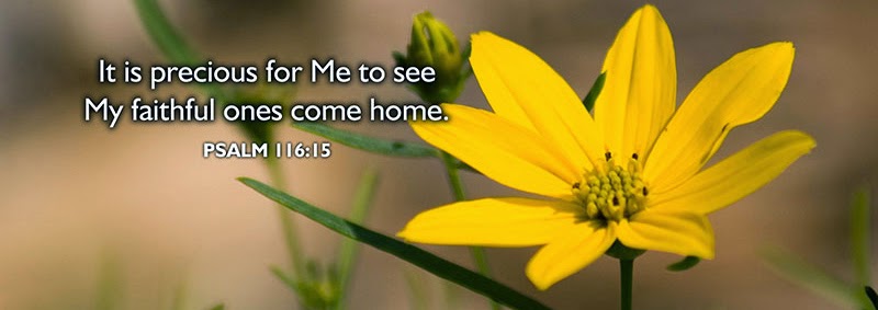 IMMANUEL GOD WITH US: It is precious for Me to see My faithful ones ...