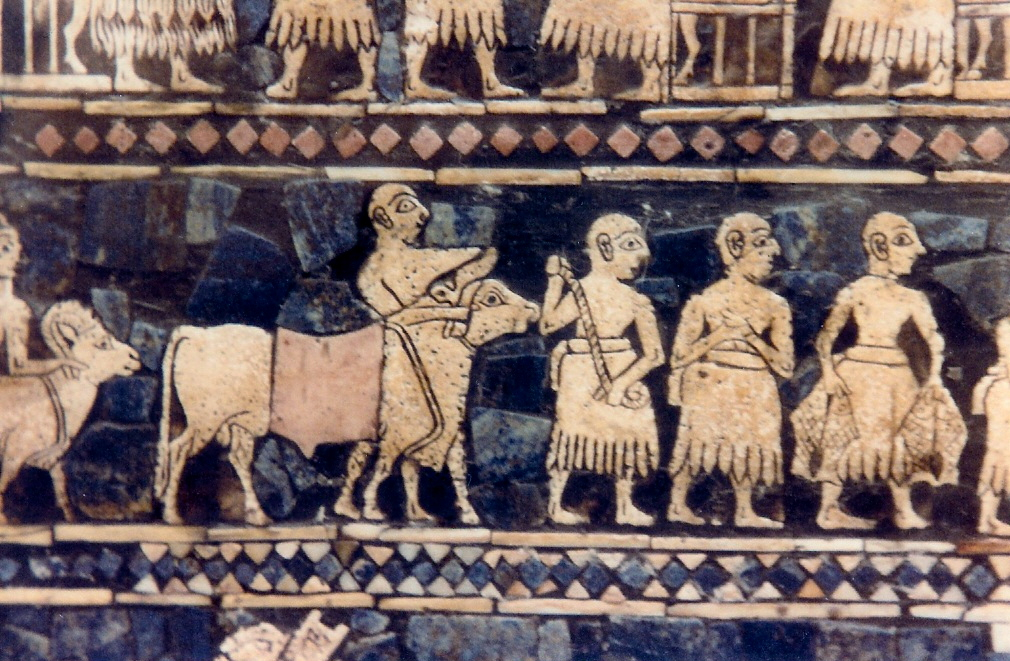 Near Eastern Archaeology: University of Pennsylvania Museum