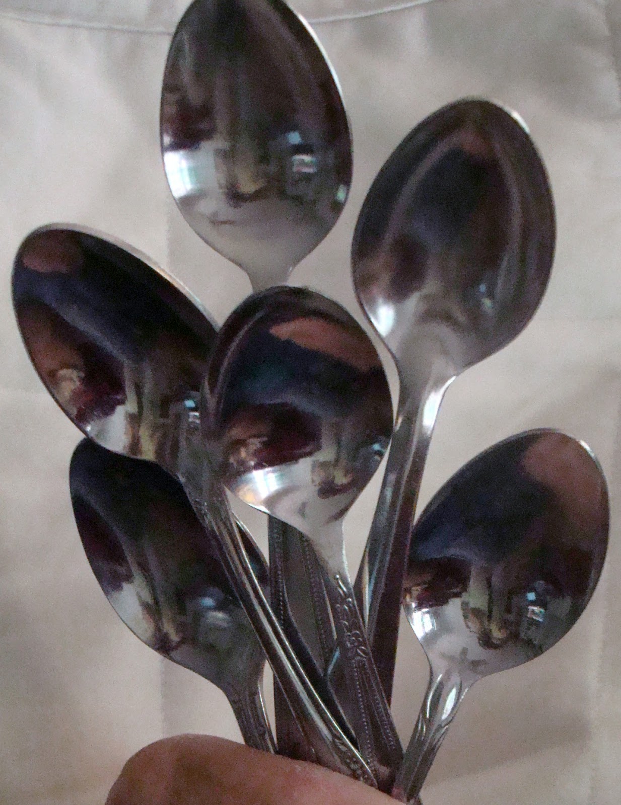 Our Journey with Multiple Myeloma: A Handful of Spoons............