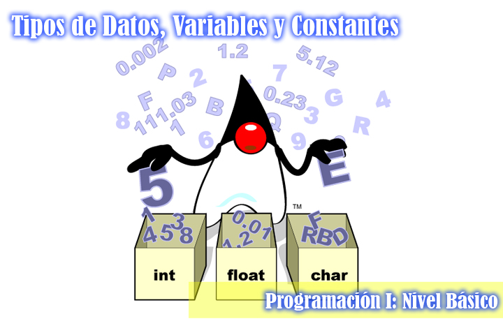 Tipos de Datos, Variables y Constantes ~ Tratado Tecnológico