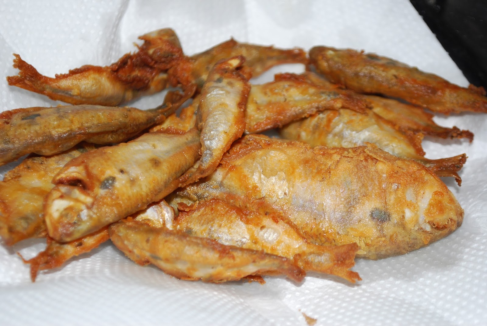 Pescaria de dicas: Como preparar Lambari frito