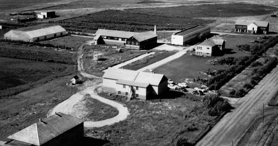 The Latter Rain Movement of '48: The North Battleford story