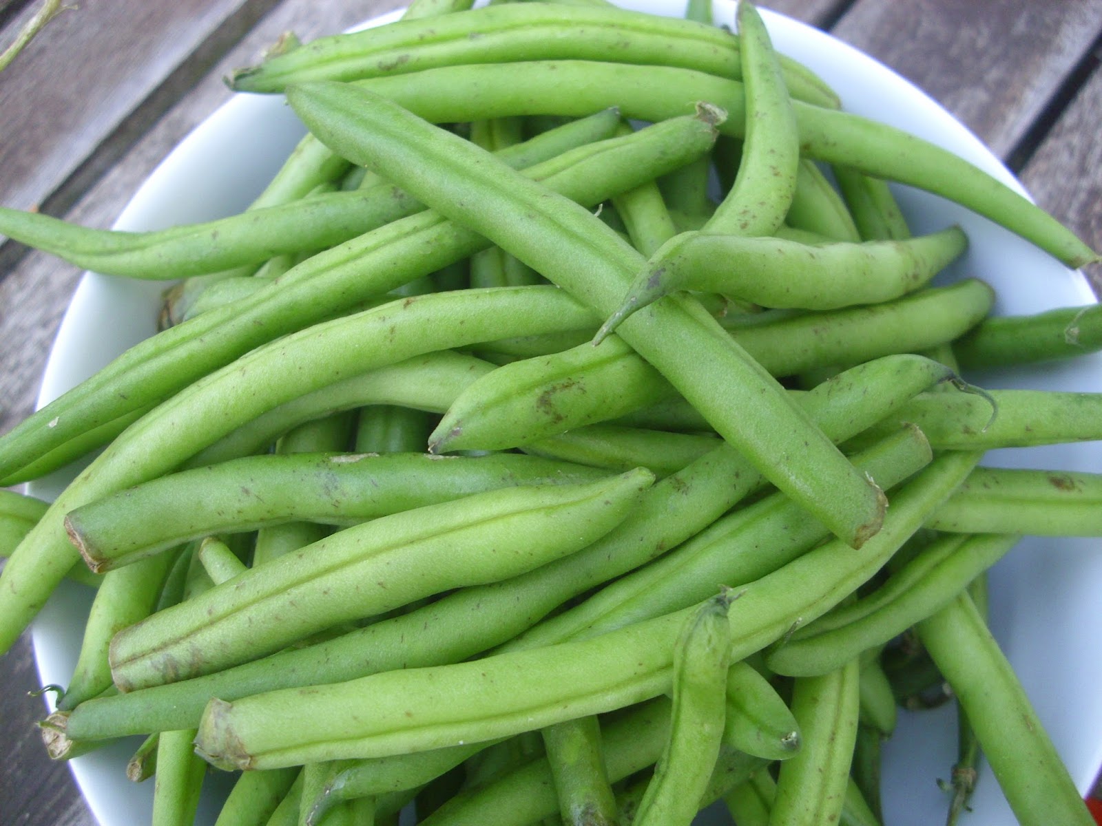 Radieschenblatt: Bohnen, Bohnen, Bohnen, die sich lohnen...